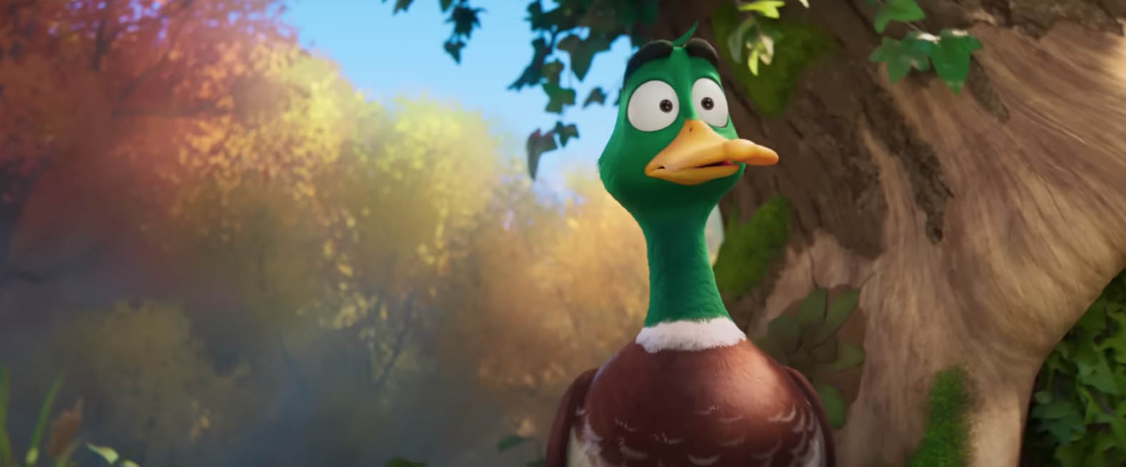 ¡Patos! – Migration. – Macquero